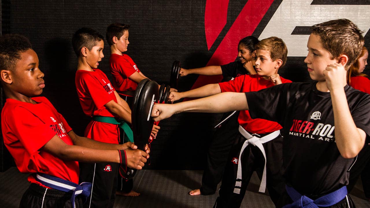Juniors Martial Arts - Tiger-Rock Martial Arts of Atascocita
